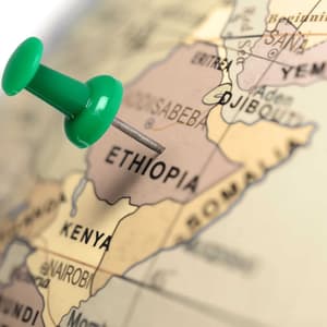 Rehab Center in Ethiopia Starts Treating Khat Addiction